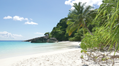 Free Beach Loop Stock Video Footage - (7,700 Free Downloads)