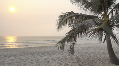 Free Beach Loop Stock Video Footage - (7,700 Free Downloads)