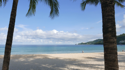 Free Strand Stock Video Footage - (1,617 Free Downloads)