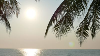 Free Beach Loop Stock Video Footage - (7,700 Free Downloads)