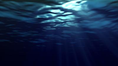 Sea Bottom with Sunbeams. - Free HD Video Clips & Stock Video Footage ...