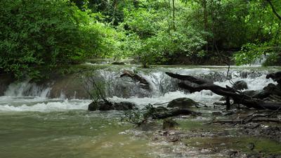 Free River Stock Video Footage - (5,289 Free Downloads)