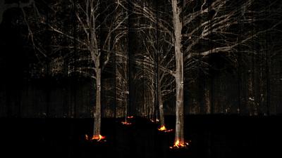 Free Dark Background Stock Video Footage - (22,171 Free Downloads)