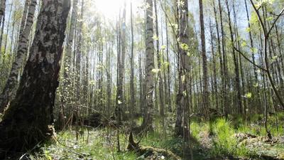 Free Doodle Cursor Makerfigmasite Stock Video Footage - (233 Free ...