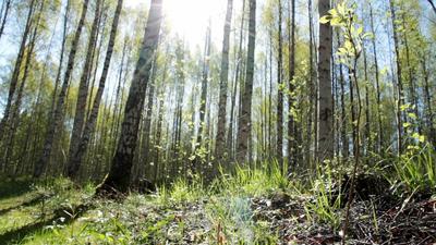 Free Doodle Cursor Makerfigmasite Stock Video Footage - (233 Free ...