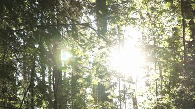 Free Doodle Cursor Makerfigmasite Stock Video Footage - (233 Free ...