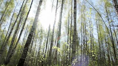 Free Doodle Cursor Makerfigmasite Stock Video Footage - (233 Free ...