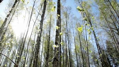 Free Doodle Cursor Makerfigmasite Stock Video Footage - (233 Free ...