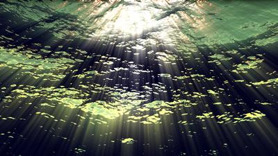 Free Underwater 4k Stock Video Footage - (7,052 Free Downloads)