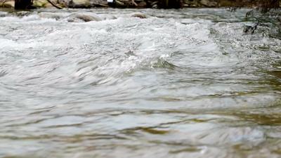 Free River Stock Video Footage - (5,289 Free Downloads)