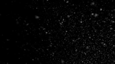 Free Snow Overlay Effect Stock Video Footage - (5,649 Free Downloads)