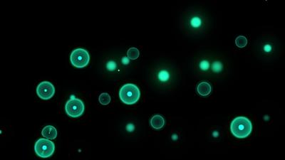 Free Overlay Effect Sparkle Stock Video Footage - (5,613 Free Downloads)