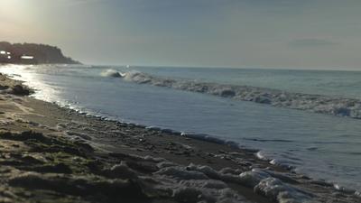 Free Summer Stock Video Footage - (6,997 Free Downloads)