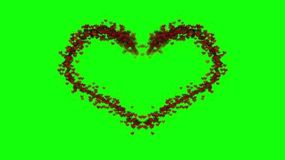 Free Green Effect Stock Video Footage - (8,985 Free Downloads)