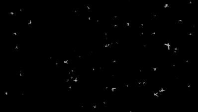 Free Overlay Effect Stock Video Footage - (5,032 Free Downloads)