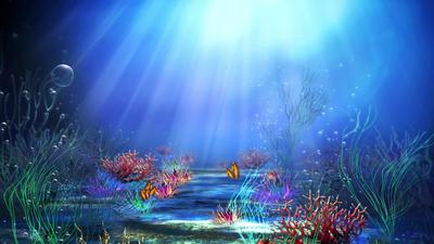 Sea Bottom with Sunbeams. - Free HD Video Clips & Stock Video Footage ...