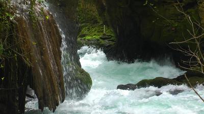 Free Nature Mp4 Stock Video Footage - (10,122 Free Downloads)