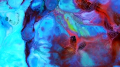 Free Bold Stock Video Footage - (72 Free Downloads)