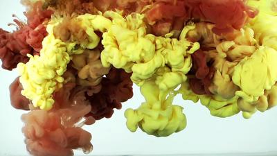 Free Ink Drop Stock Video Footage - (1,657 Free Downloads)