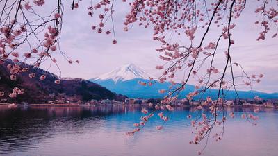 Free Japan Stock Video Footage - (588 Free Downloads)