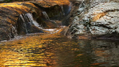 Free River Stock Video Footage - (5,289 Free Downloads)