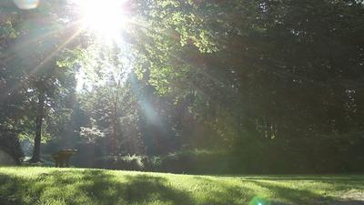 Free Doodle Cursor Makerfigmasite Stock Video Footage - (233 Free ...