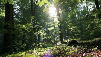 Free Doodle Cursor Makerfigmasite Stock Video Footage - (233 Free ...