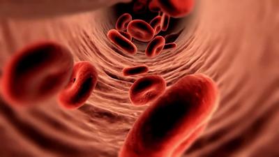 Bloodstream 4K Motion Background Loop - Free HD Video Clips & Stock ...