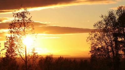 Free Nature Mp4 Stock Video Footage - (10,122 Free Downloads)