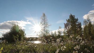 Free Summer Stock Video Footage - (6,997 Free Downloads)