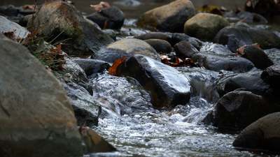 Free Nature Mp4 Stock Video Footage - (10,122 Free Downloads)
