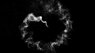 Free Circle Stock Video Footage - (1,682 Free Downloads)