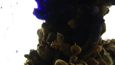 Free Ink Drop Stock Video Footage - (1,657 Free Downloads)