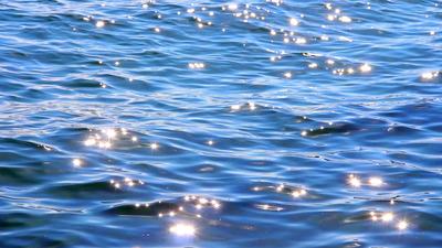 Free Water Effect Stock Video Footage - (9,202 Free Downloads)