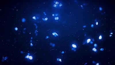 Blue particles falling in black background - Free HD Video Clips ...
