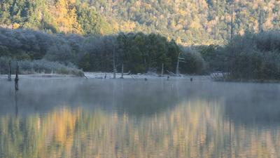 Free Nature Mp4 Stock Video Footage - (10,121 Free Downloads)