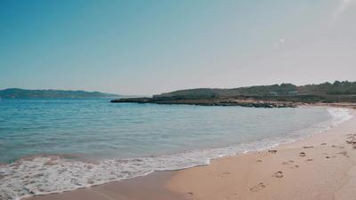 Free Summer Stock Video Footage - (6,997 Free Downloads)