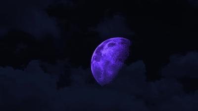 Free Half Life2download16download Stock Video Footage - (55 Free Downloads)