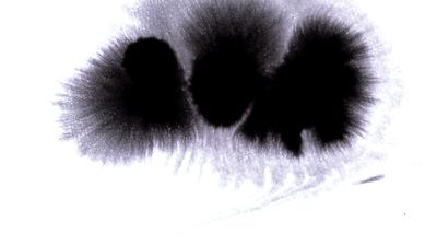 Free Ink Bleed Stock Video Footage - (519 Free Downloads)