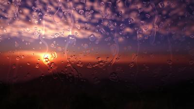 Free Rain Stock Video Footage - (780 Free Downloads)