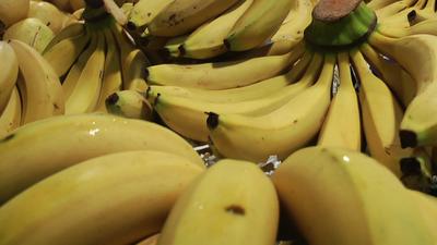 Gratuit Microsoftbananavideo Vidéo d’archives - (4 235 Telechargements ...