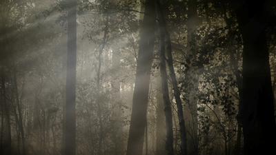 Free Dark Background Stock Video Footage - (22,171 Free Downloads)