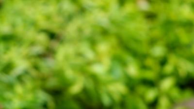 Free Nature Mp4 Stock Video Footage - (10,122 Free Downloads)