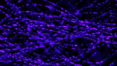 Free Purple Loop Stock Video Footage - (7,129 Free Downloads)