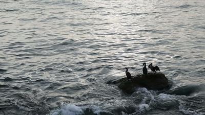 Gratuit Lesgrandsclassiquesdephysiquemppdf Vidéo d’archives - (577 ...