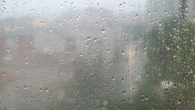 Free Rain Loop Stock Video Footage - (6,670 Free Downloads)