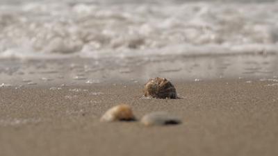 Gratuit Instrumentalcovertitle Vidéo d’archives - (3 268 ...