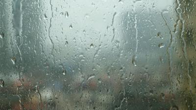 Free Rain Stock Video Footage - (780 Free Downloads)