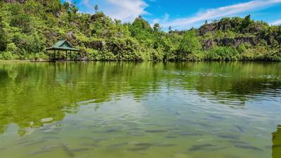 Free Nature Mp4 Stock Video Footage - (10,122 Free Downloads)