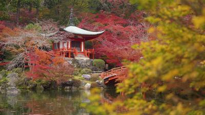 Free Video Bokep Japan Stock Video Footage - (4,727 Free Downloads)